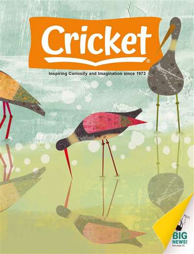 Cricket Magazine Subscription Canada