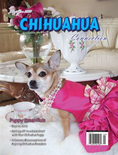 Chihuahua Connection Magazine Subscription United States