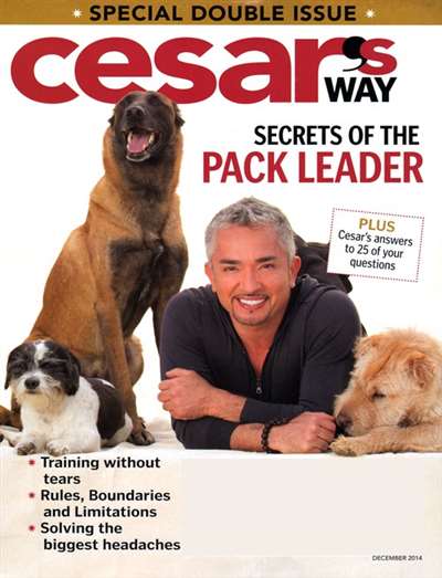 Cesar's Way Magazine Subscription Canada
