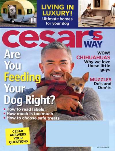 Cesar's Way Magazine Subscription Canada