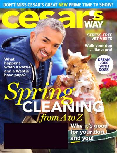Cesar's Way Magazine Subscription Canada