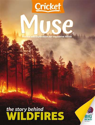 Muse Magazine Subscription Canada