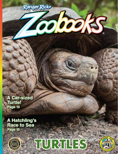 Zoobooks Magazine Subscription Canada