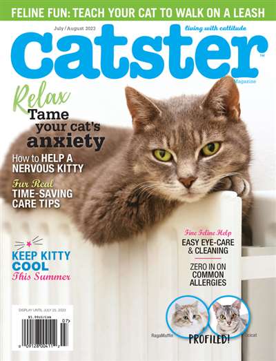 Catster Magazine Subscription Canada