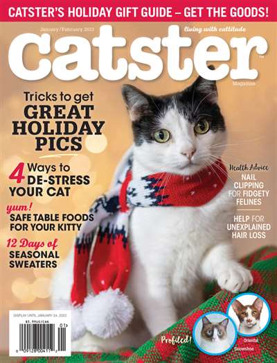 Catster Magazine Subscription Canada