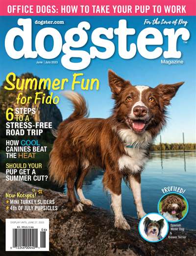 Dogster Magazine Subscription Canada