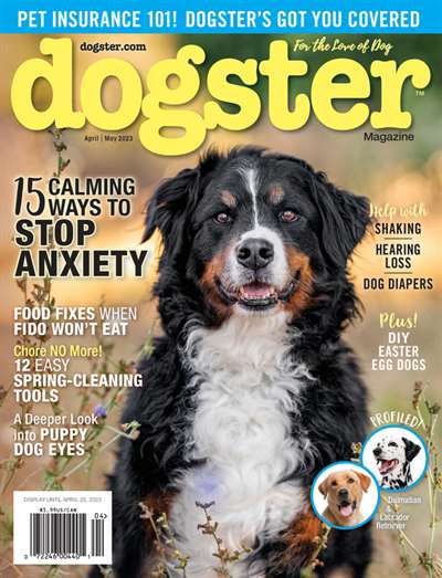 Dogster Magazine Subscription Canada