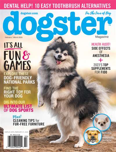 Dogster Magazine Subscription Canada