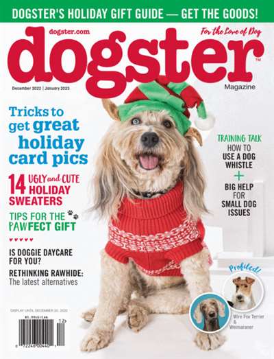Dogster Magazine Subscription Canada