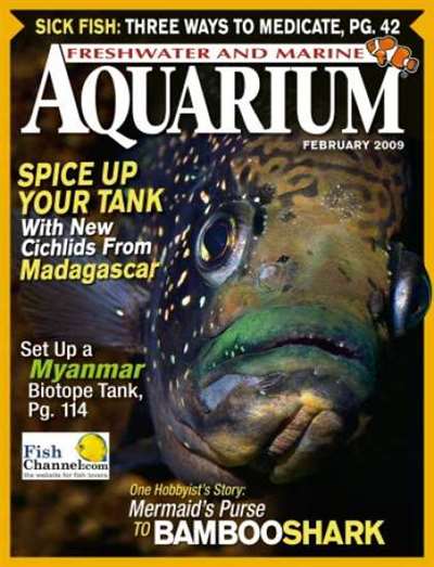 Freshwater And Marine Aquarium Magazine Subscription Canada