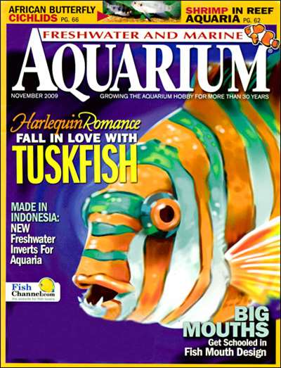 Freshwater And Marine Aquarium Magazine Subscription United States