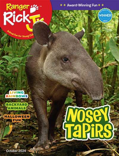 Ranger Rick Jr Magazine Subscription Canada