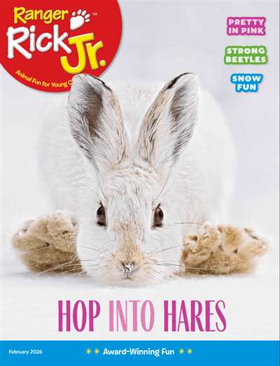 Ranger Rick Jr Magazine Subscription Canada