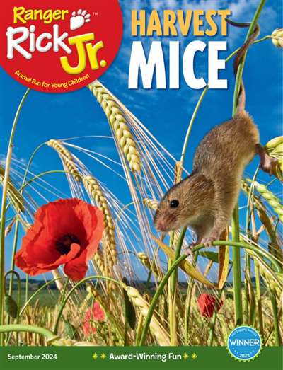 Ranger Rick Jr Magazine Subscription Canada