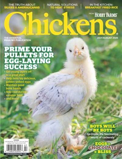 Chickens Magazine Subscription Canada