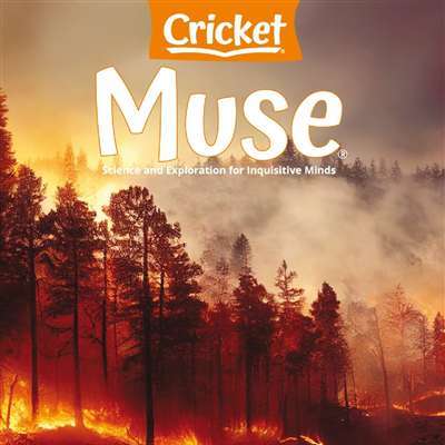 Muse Magazine Subscription Canada