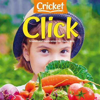 Click Magazine Subscription Canada