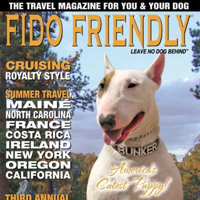 Fido Friendly Magazine Subscription Canada