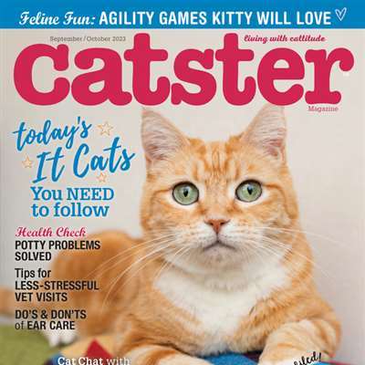 Catster Magazine Subscription United States
