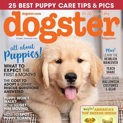 Dogster Magazine Subscription Canada