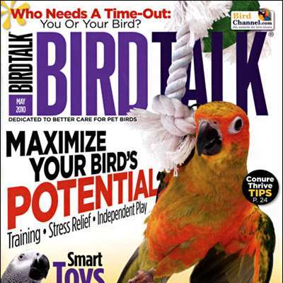 Bird Talk Magazine Subscription Canada