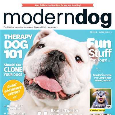 Modern Dog Magazine Subscription Canada