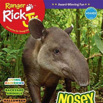 Ranger Rick Jr Magazine Subscription Canada