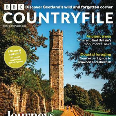 Bbc Countryfile Magazine Subscription Canada